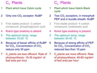 Photosynthesis | PPT