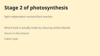 PHOTOSYNTHESIS CAPE BIOLOGY - UNIT 2 PRESENTATION BY SHERIEFA CAMPBELL ...