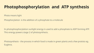 PHOTOSYNTHESIS CAPE BIOLOGY - UNIT 2 PRESENTATION BY SHERIEFA CAMPBELL ...