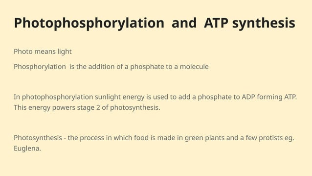 PHOTOSYNTHESIS CAPE BIOLOGY - UNIT 2 PRESENTATION BY SHERIEFA CAMPBELL ...