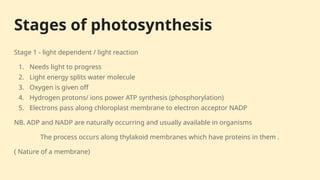PHOTOSYNTHESIS CAPE BIOLOGY - UNIT 2 PRESENTATION BY SHERIEFA CAMPBELL ...