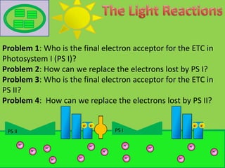 Photosystem 1 And 2 Animation