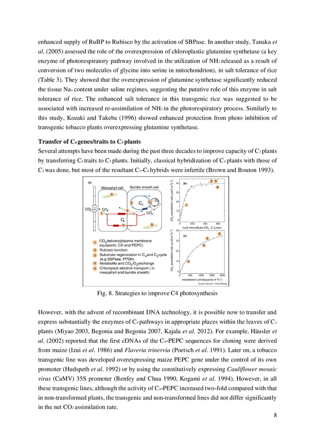 Environmental factors affecting photosynthesis and future prospect for ...