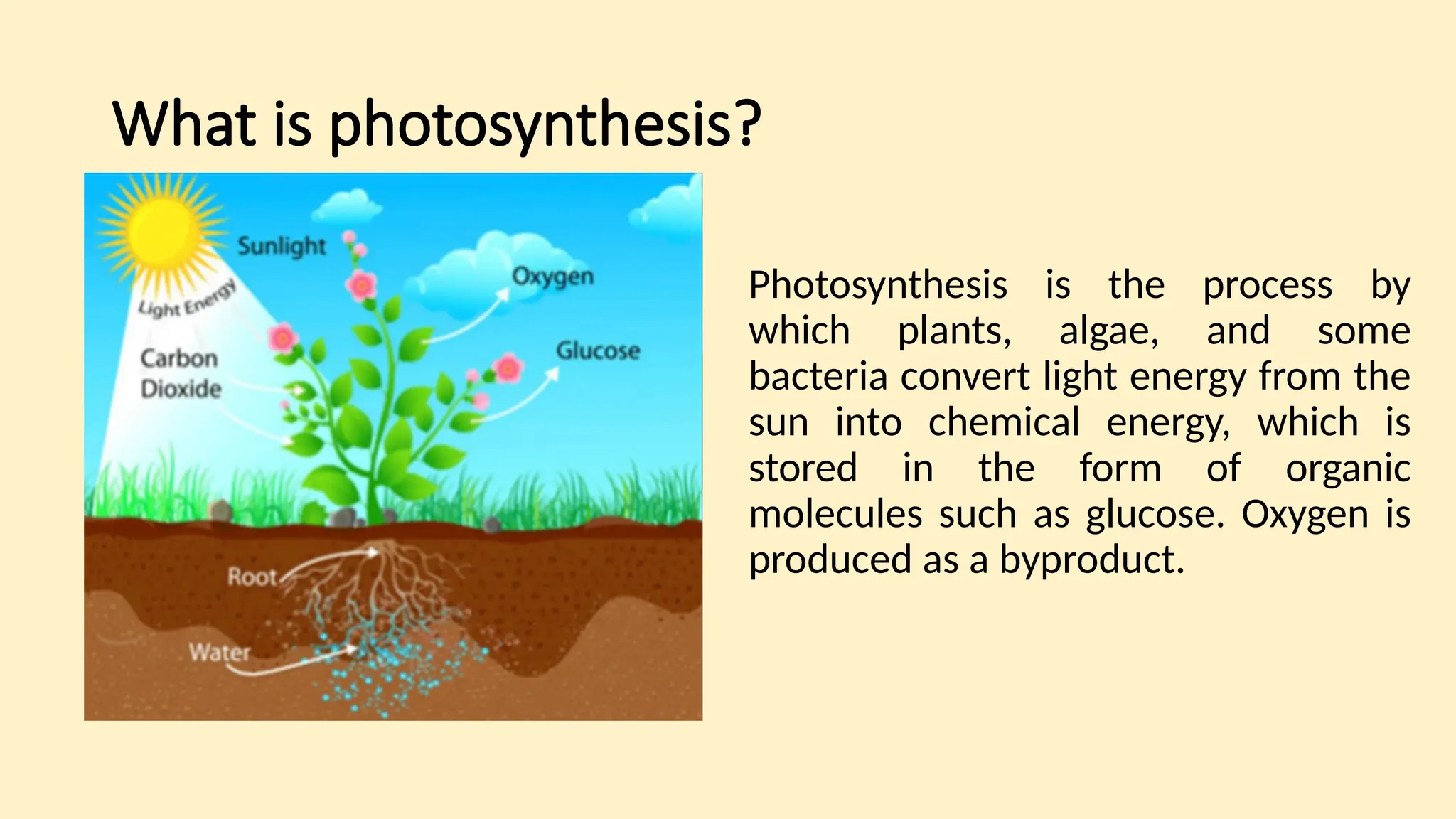 Photosyntesis lecture for highschool.pptx