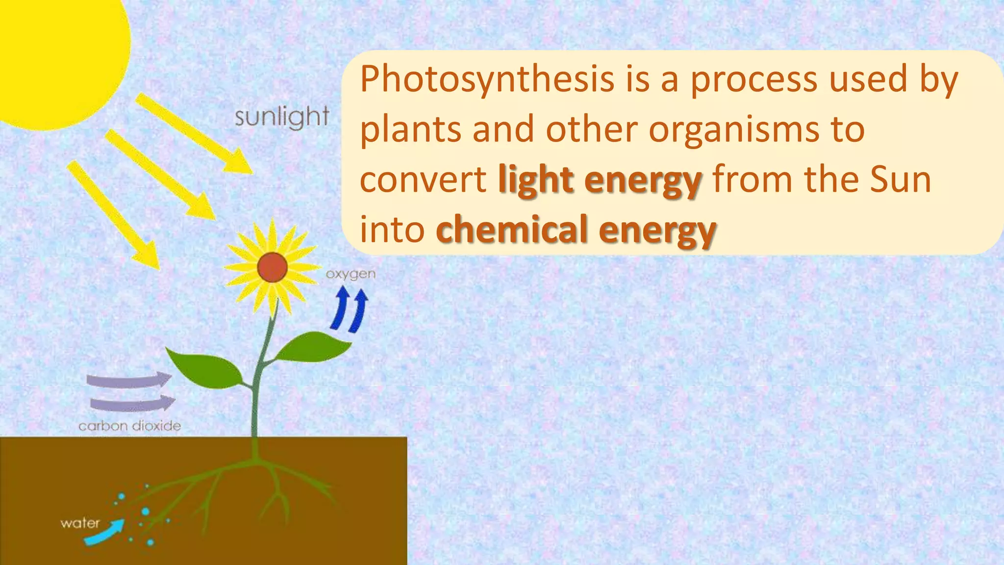 Photosyntesis Presentation.pptx