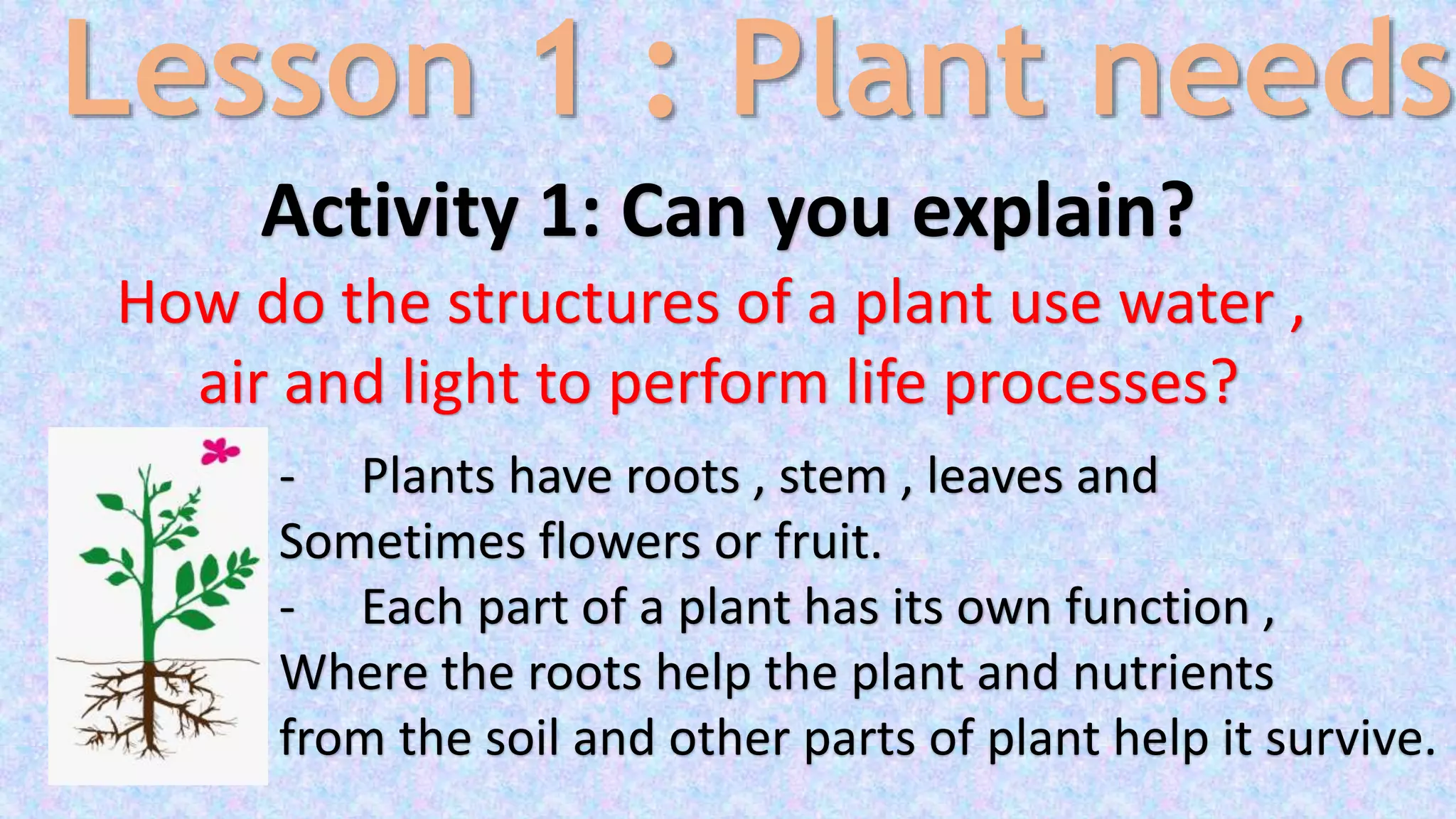 Photosyntesis Presentation (3).pptx