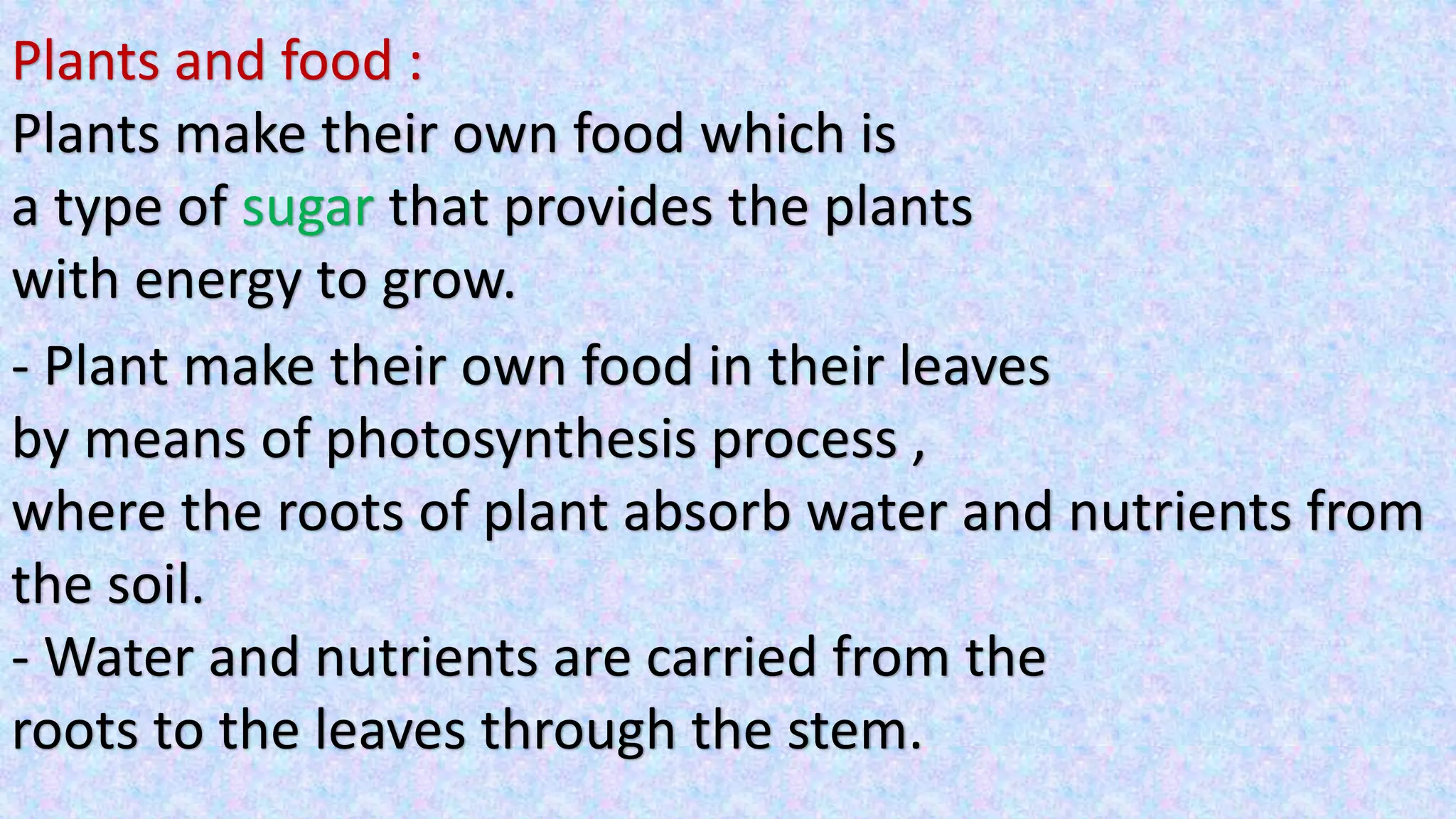 Photosyntesis Presentation (3).pptx