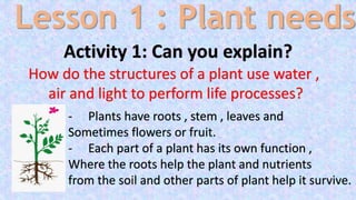 Photosyntesis Presentation (3).pptx