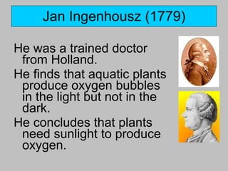 Photosyntheis | PPT