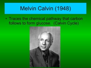 Photosyntheis | PPT