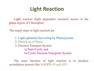 Photosyntheis outline | PPTX