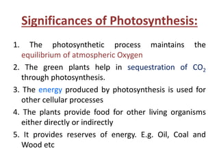 Photosyntheis outline | PPTX