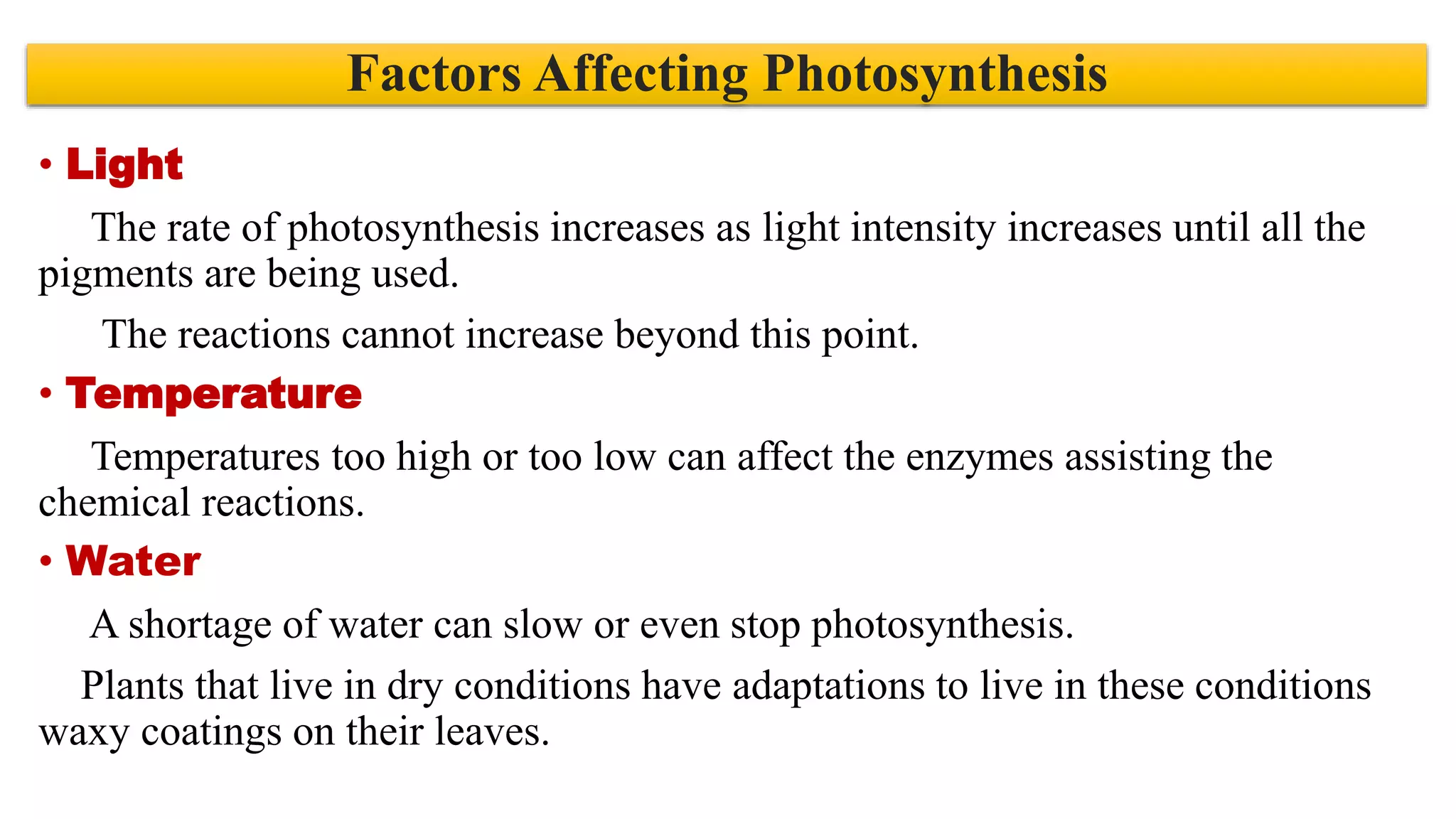 Photosynthes | PPTX | Chemistry | Science