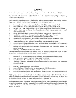 Photosynthesis | DOCX