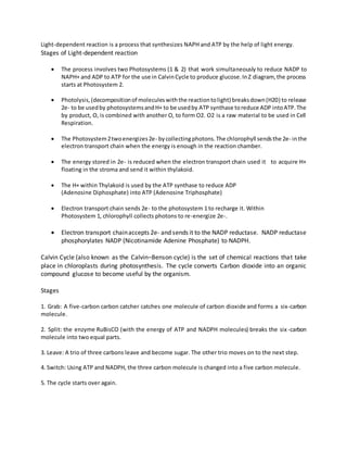 Photosynthesis | DOCX
