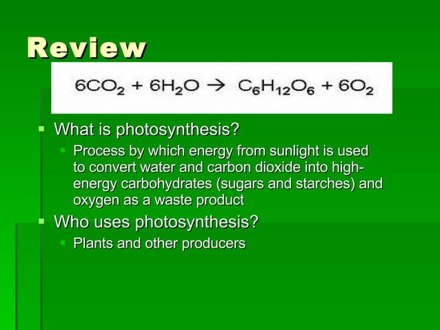 Photosynthesis | PPT