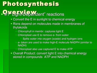 Photosynthesis | PPT
