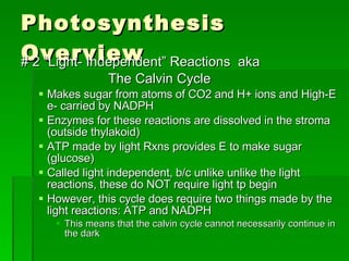 Photosynthesis | PPT