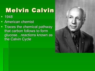 Photosynthesis | PPT