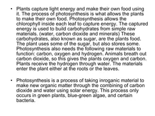 Photosynthesis | PPT | Chemistry | Science