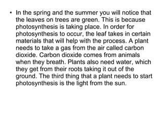 Photosynthesis | PPT