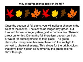 Photosynthesis | PPT
