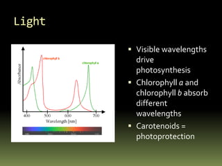 AP Biology - Photosynthesis (Part 1 | PPTX
