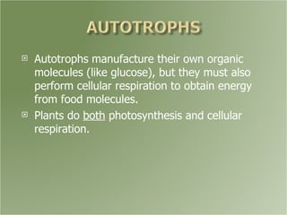 Photosynthesis | PPT