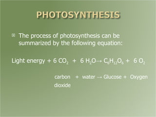 Photosynthesis | PPT
