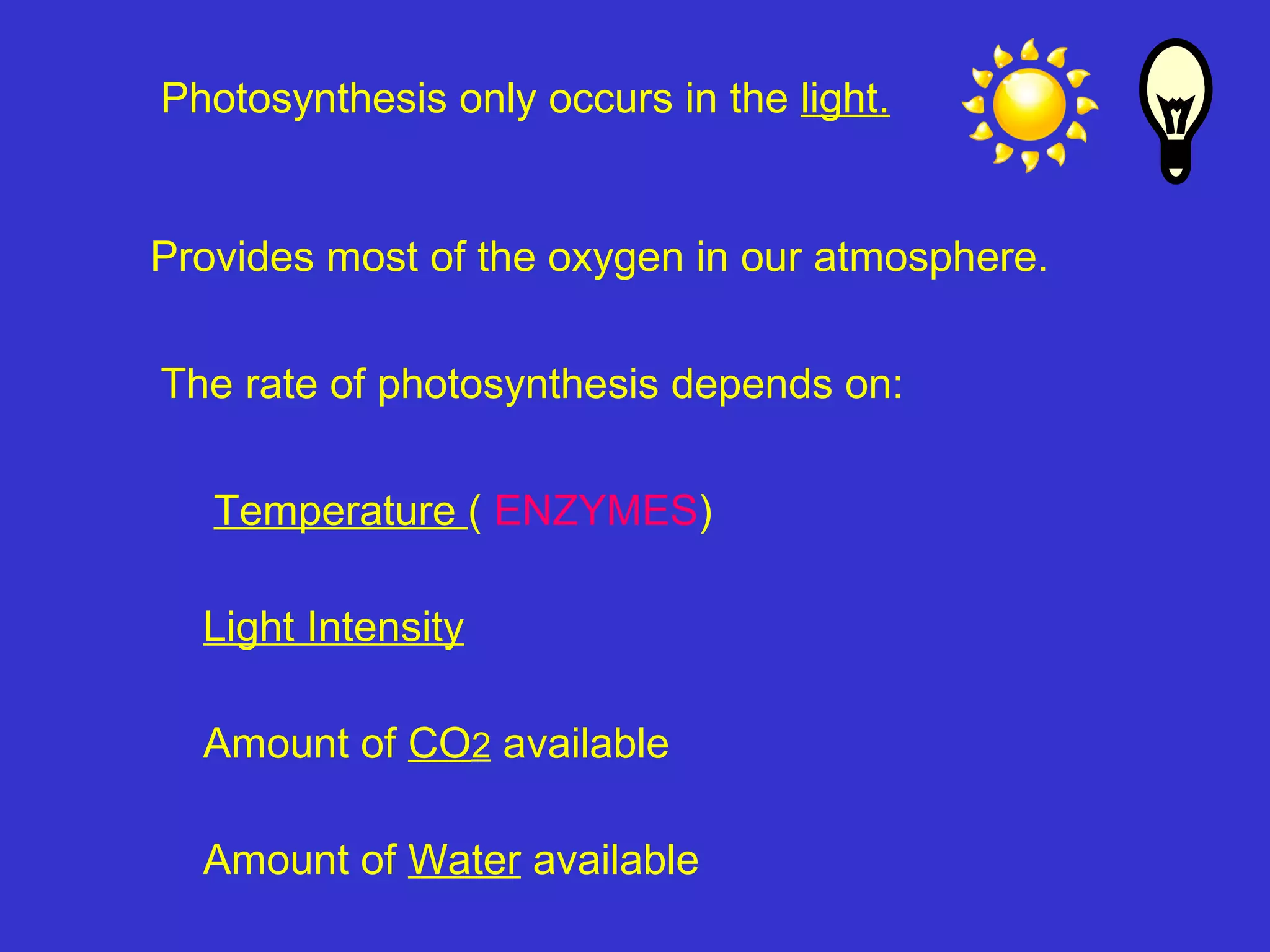 Photosynthesis | PPT