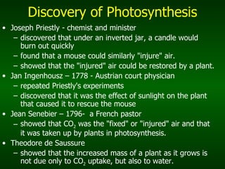 Photosynthesis | PPT