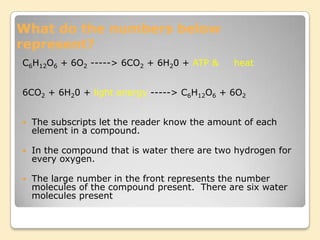 Photosynthesis | PPT