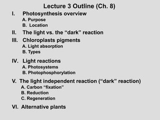 Photosynthesis 1 | PPT