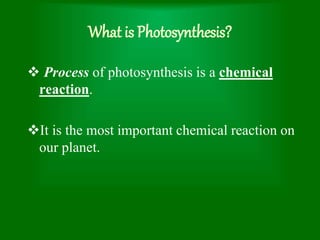 photosynthesis-1.pptx