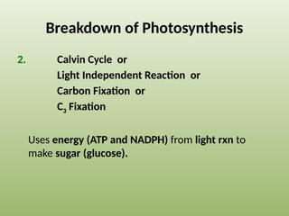 PHOTOSYNTHESIS-1.pptx 9 second quarter biology | PPTX