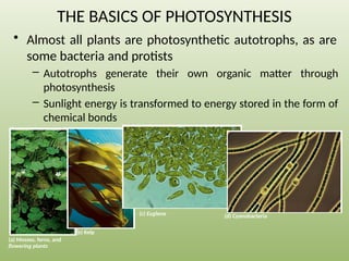 PHOTOSYNTHESIS-1 9 SCIENCE BIOLOGY .pptx