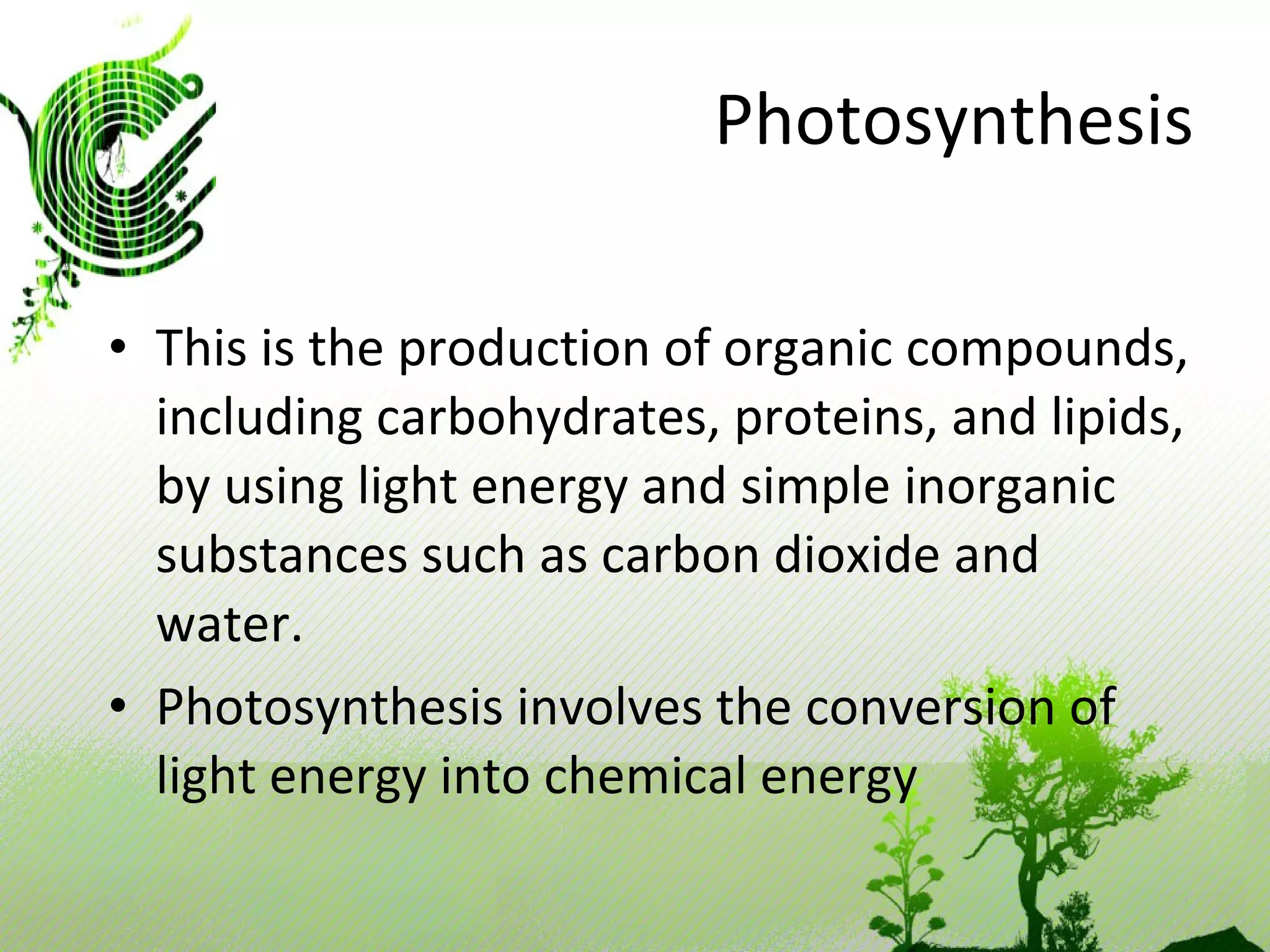 Photosynthesis | PPT