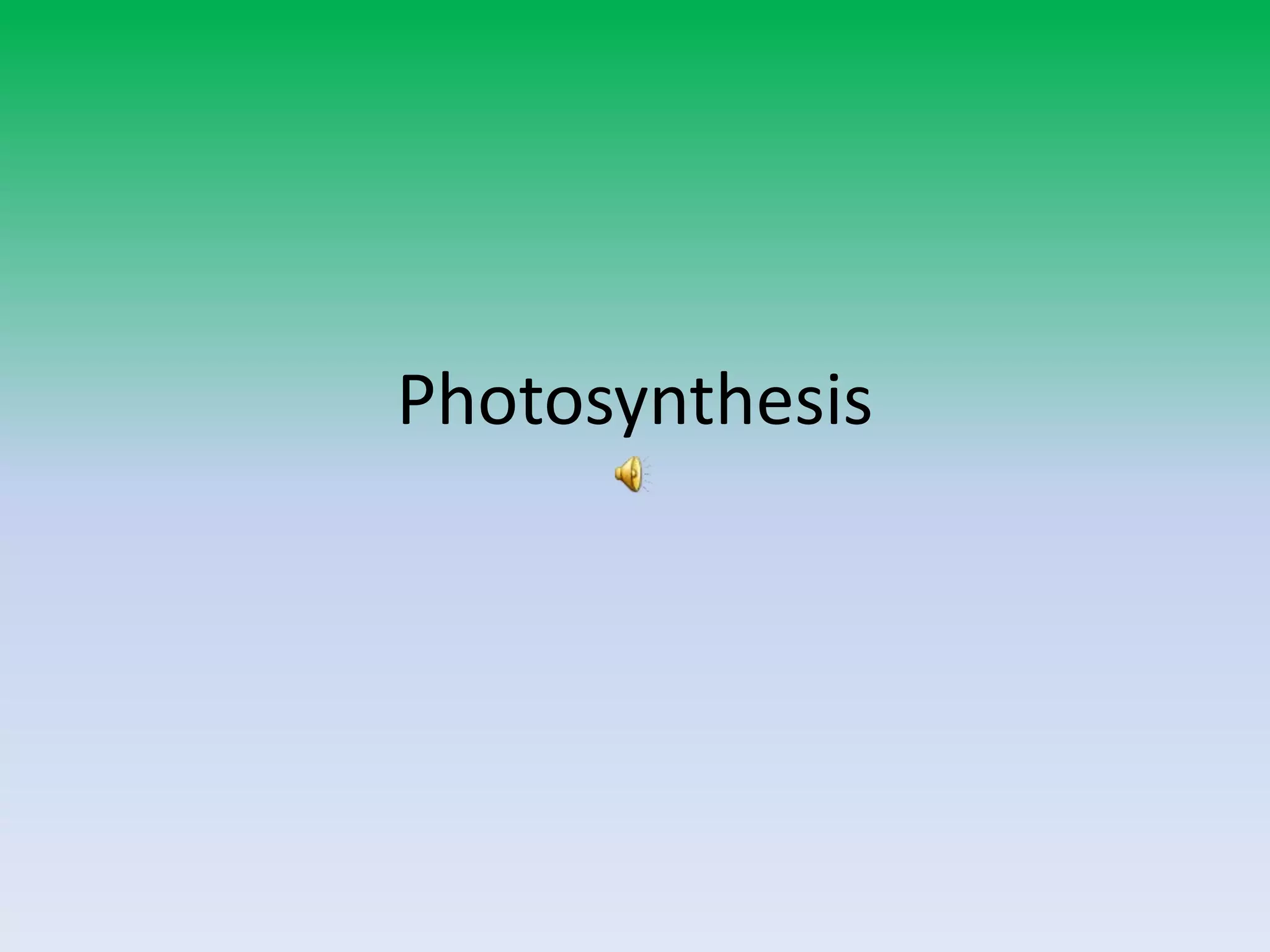 Photosynthesis Part 2 | PPTX