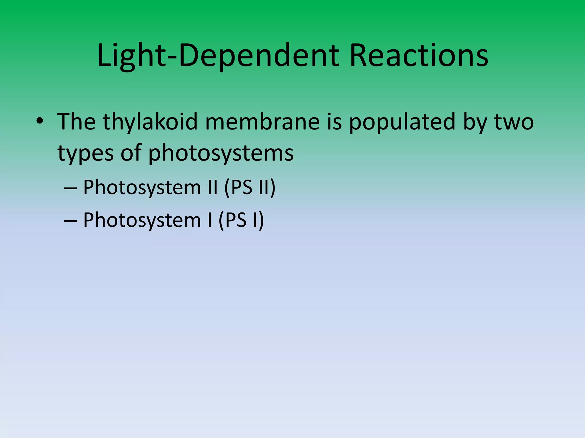 Photosynthesis Part 2 | PPTX