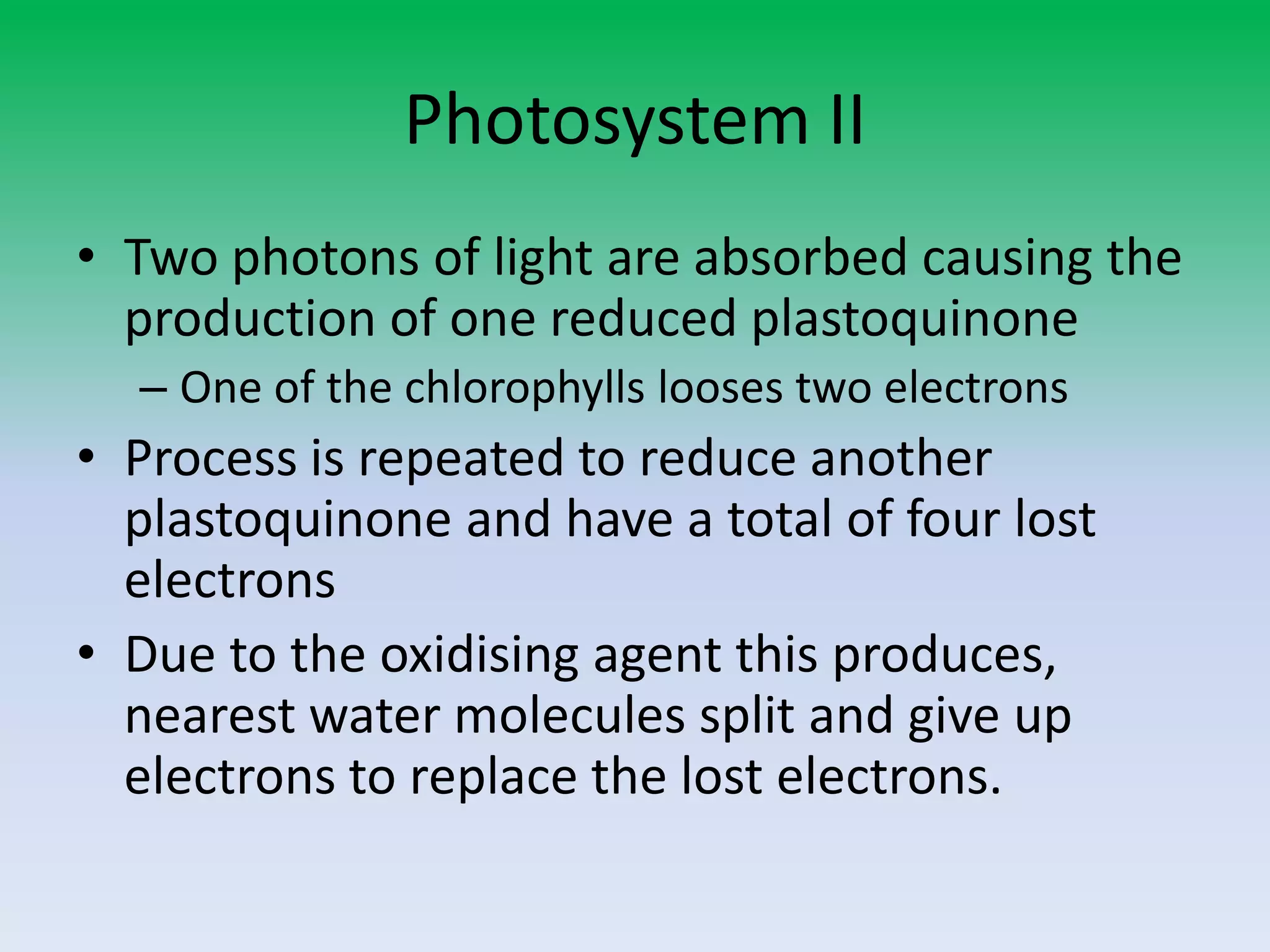 Photosynthesis Part 2 | PPTX