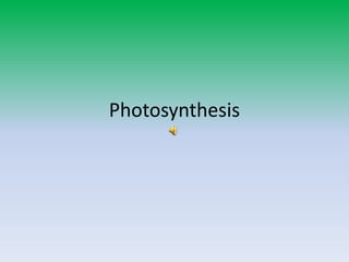 Photosynthesis Part 2 | PPTX