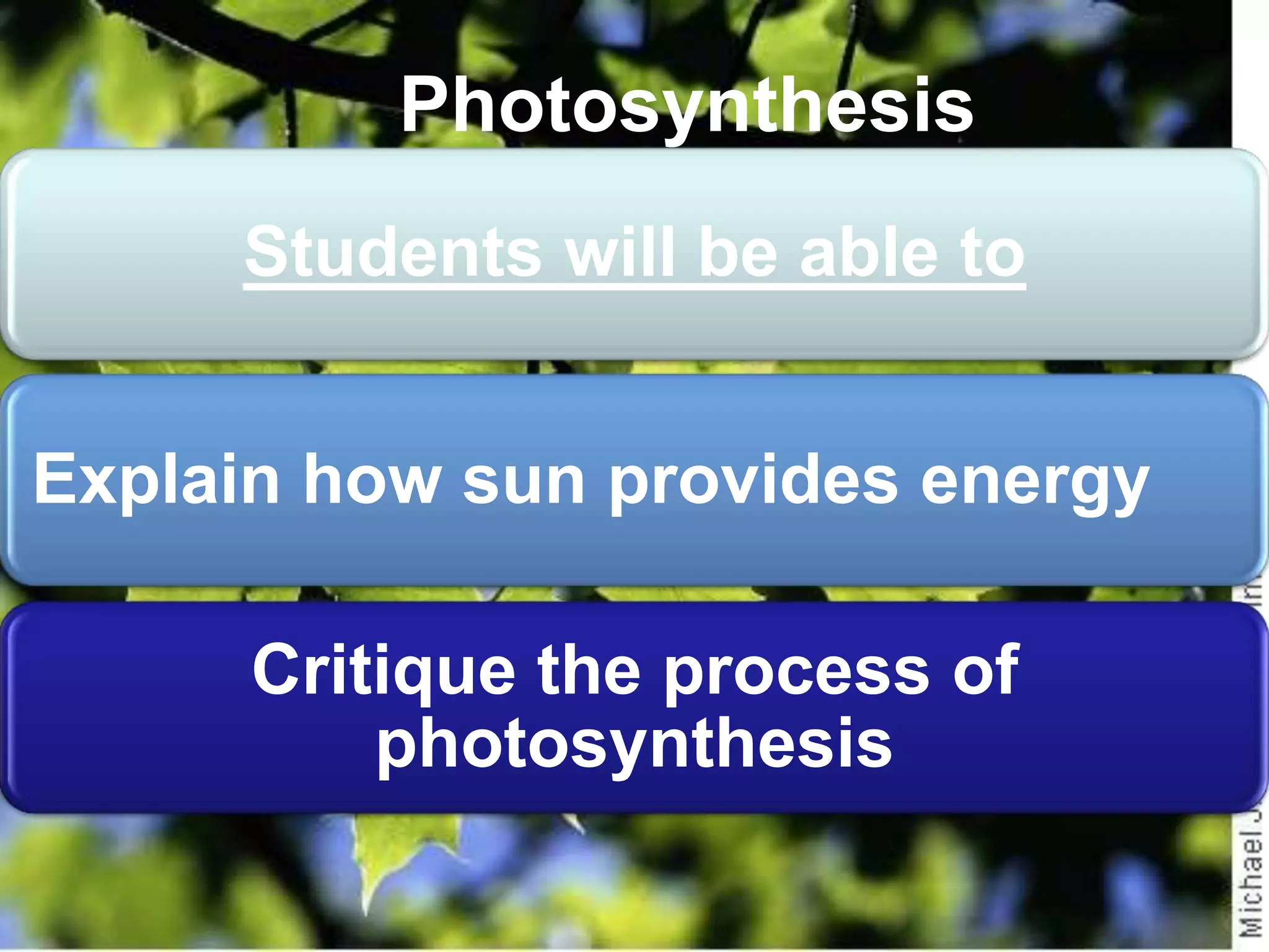 Photosynthesis | PPSX