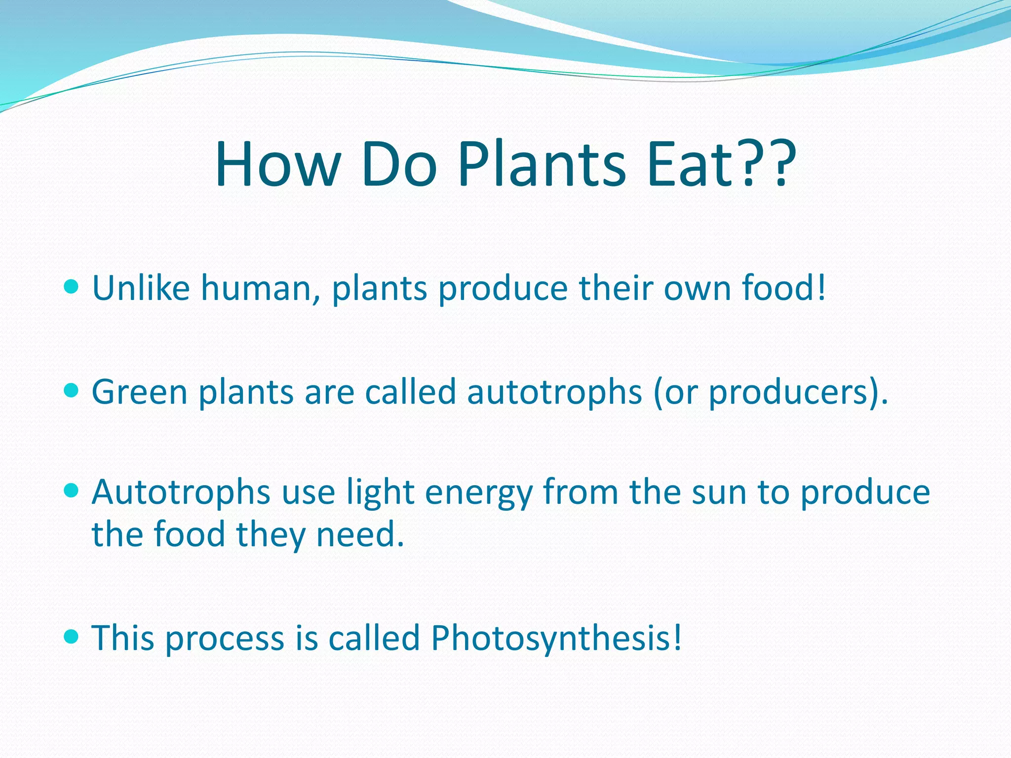 Photosynthesis | PPT