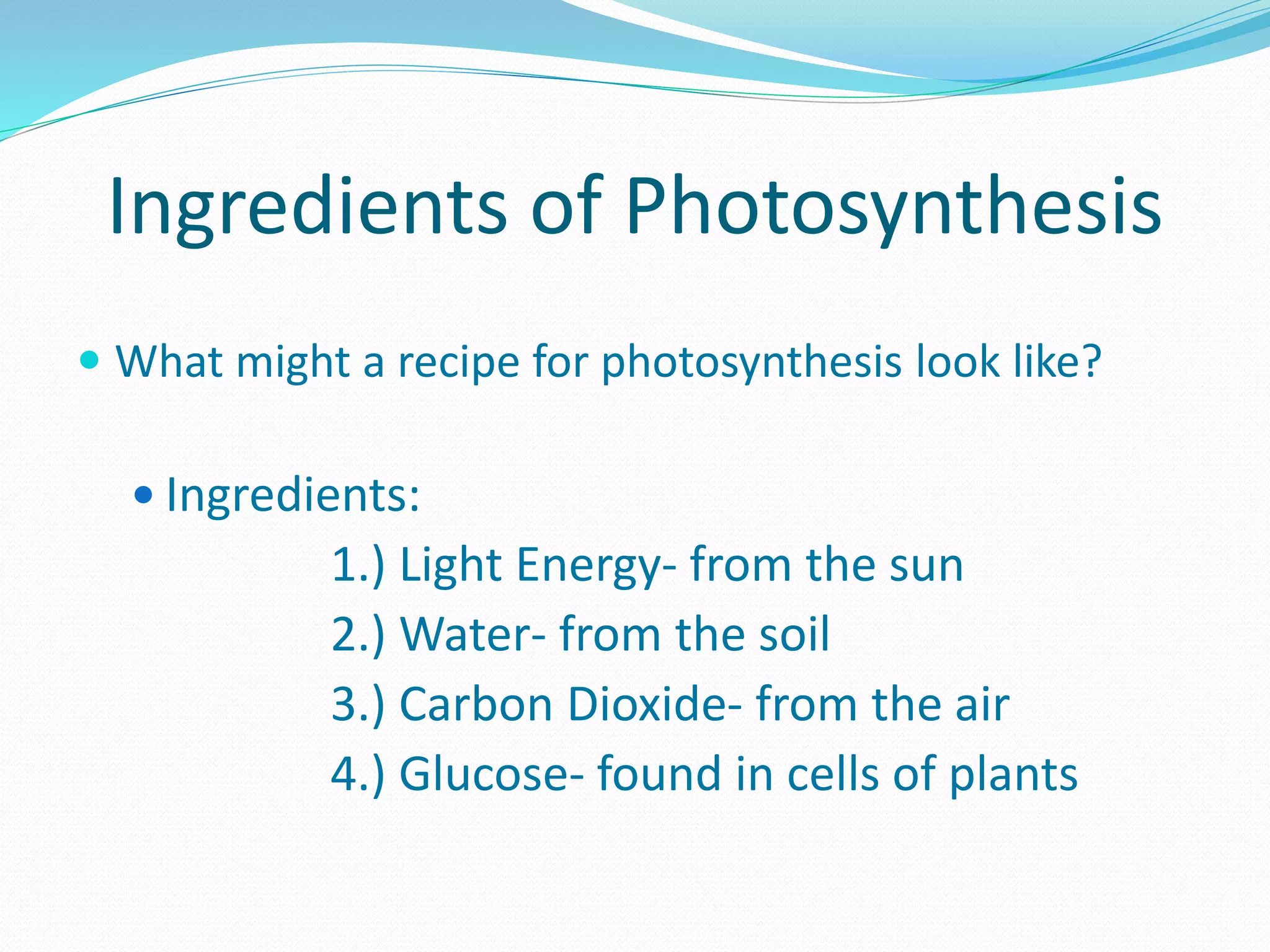 Photosynthesis | PPT