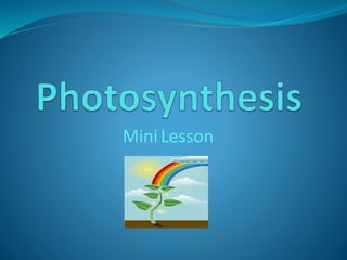 Photosynthesis | PPT