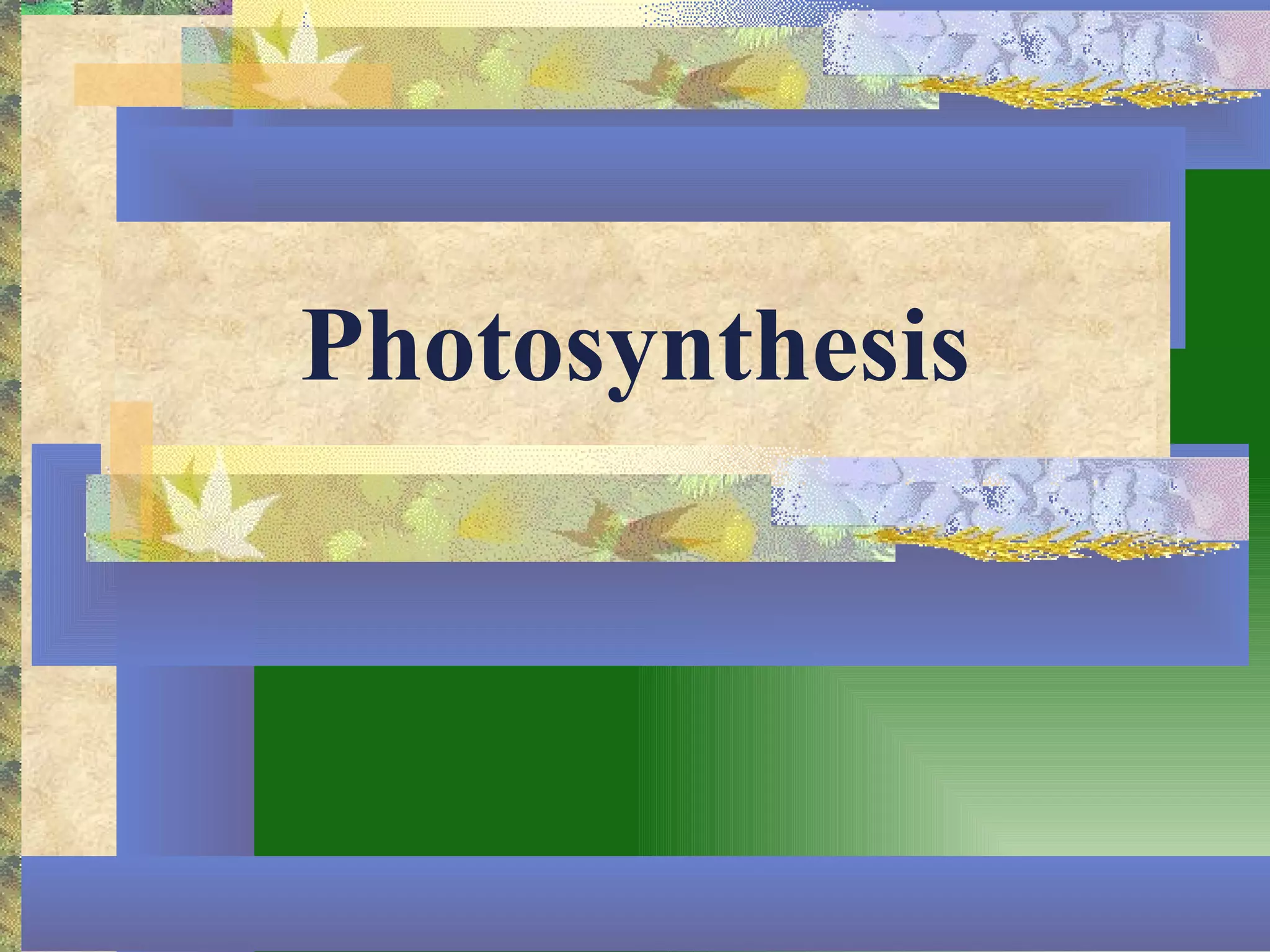 Photosynthesis | PPT