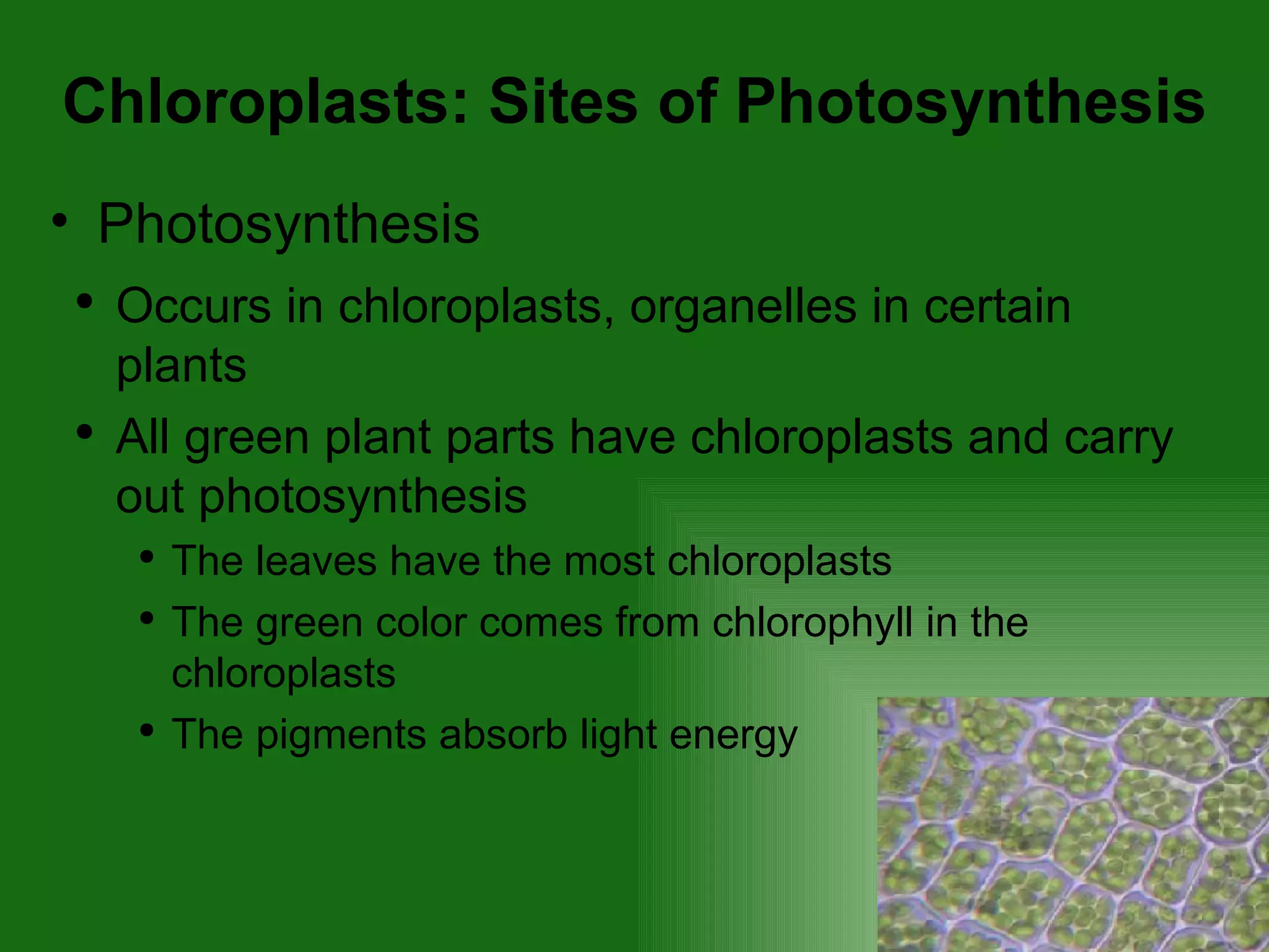 Photosynthesis | PPT