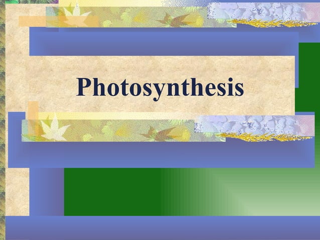 Photosynthesis | PPT