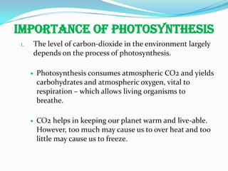 Photosynthesis | PPTX