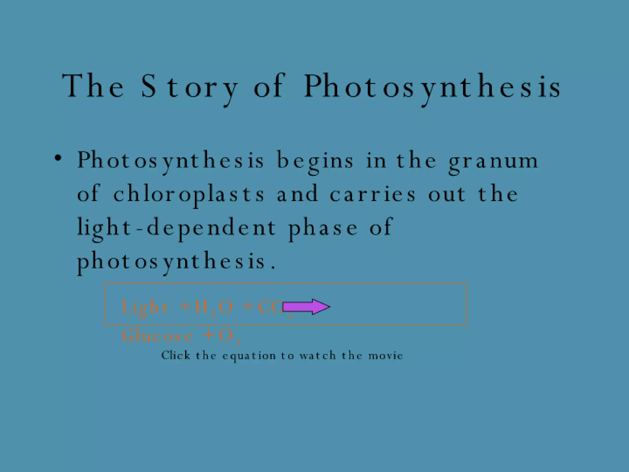 Photosynthesis | PPT